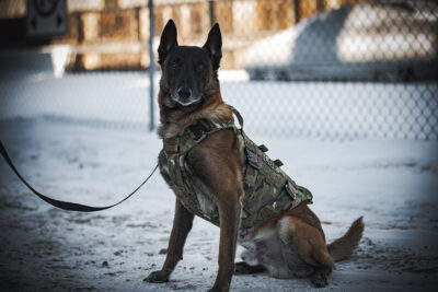 LOF Defence Systems Joins the Mission | UNITED K9 CANADA